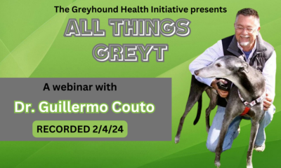 Home - Greyhound Health Initiative