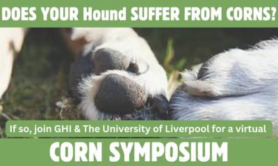 Education Resources - Greyhound Health Initiative