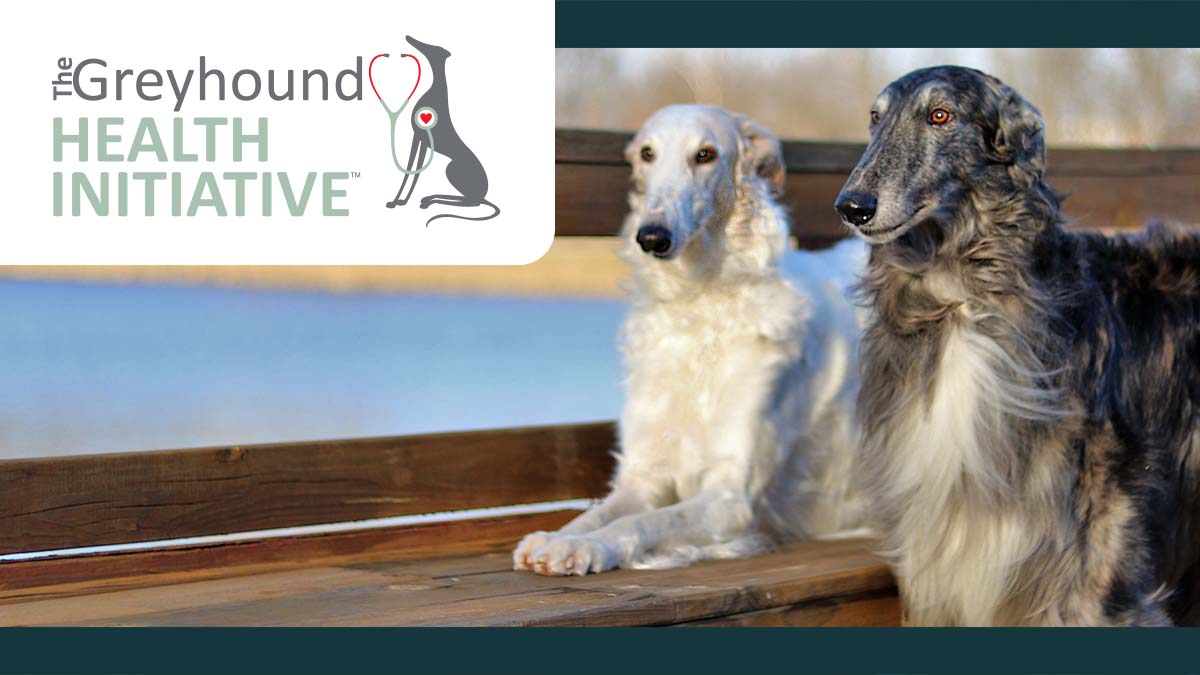 Education Resources - Greyhound Health Initiative