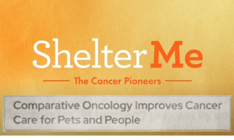 PBS Documentary: Shelter Me - Cancer Pioneers - Greyhound Health Initiative