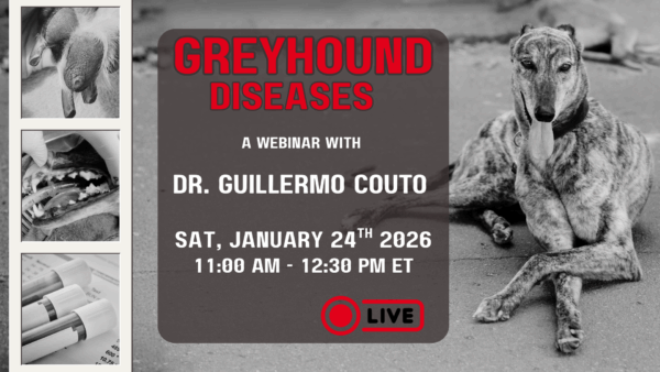 Home - Greyhound Health Initiative